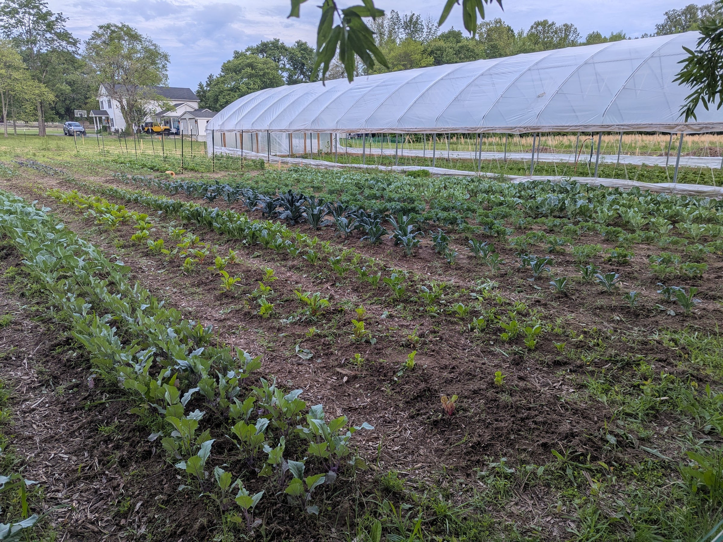 Simpson's Market Garden Store
