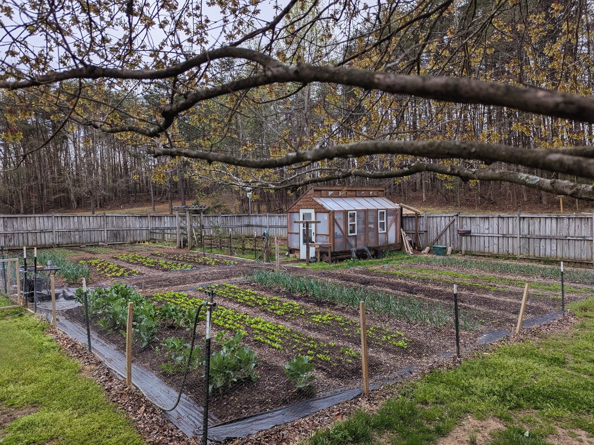 Simpson's Market Garden Store